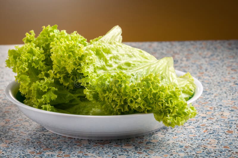 Bowl of lettuce stock photo. Image of clipping, natural - 44571124