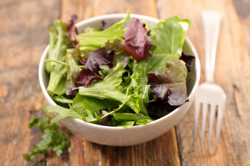 Bowl of lettuce stock photo. Image of bowl, lettuce - 174688238