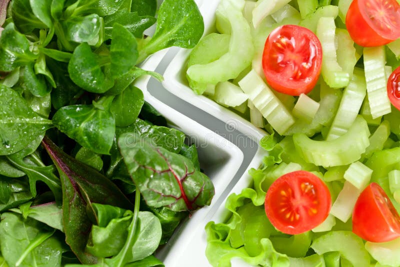 Bowl of mixed salad stock photo. Image of lettuce, ingredient - 40109006