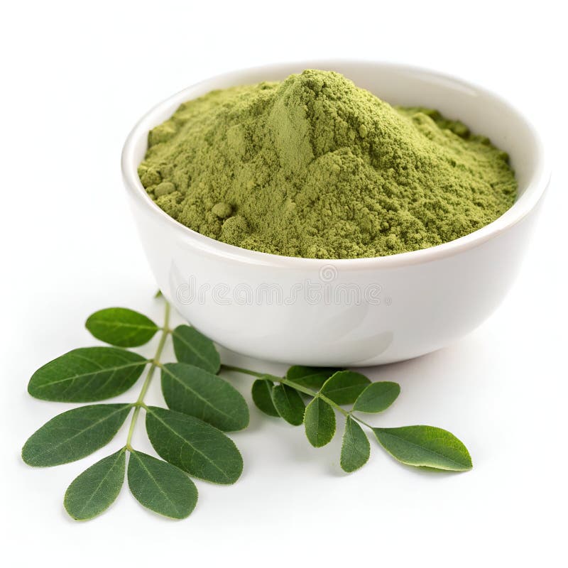 Bowl of Moringa Powder with Moringa Leaf Stock Illustration ...