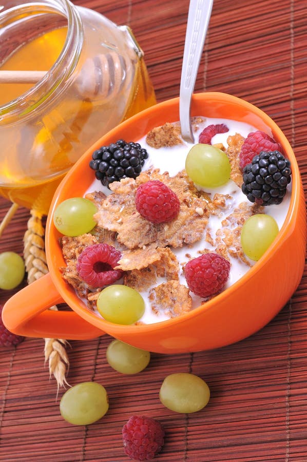 Bowl of muesli stock photo. Image of cereal, metal, foodstuff - 10569992