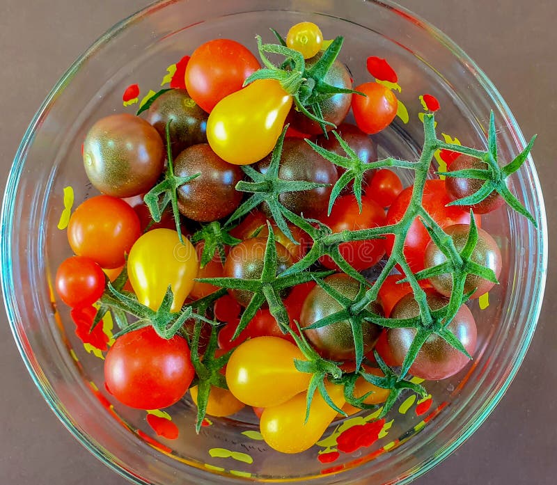 Bowl of Multi Color Cherry Tomatoes from Above/cherry Tomatoes Stock ...