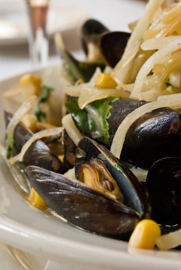 Bowl of mussels stock image. Image of shell, vertical - 10409083