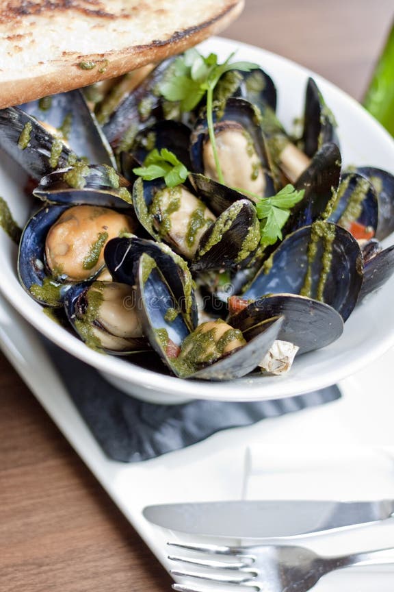 Bowl of Mussels stock photo. Image of beer, bottle, detail - 29176006