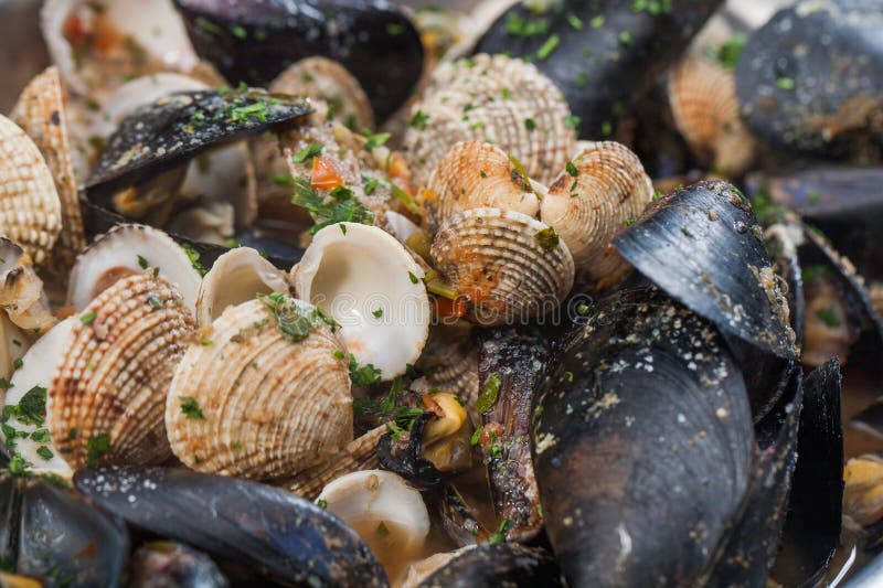 Shell fish in a bowl. stock photo. Image of closeup, bread - 29724008