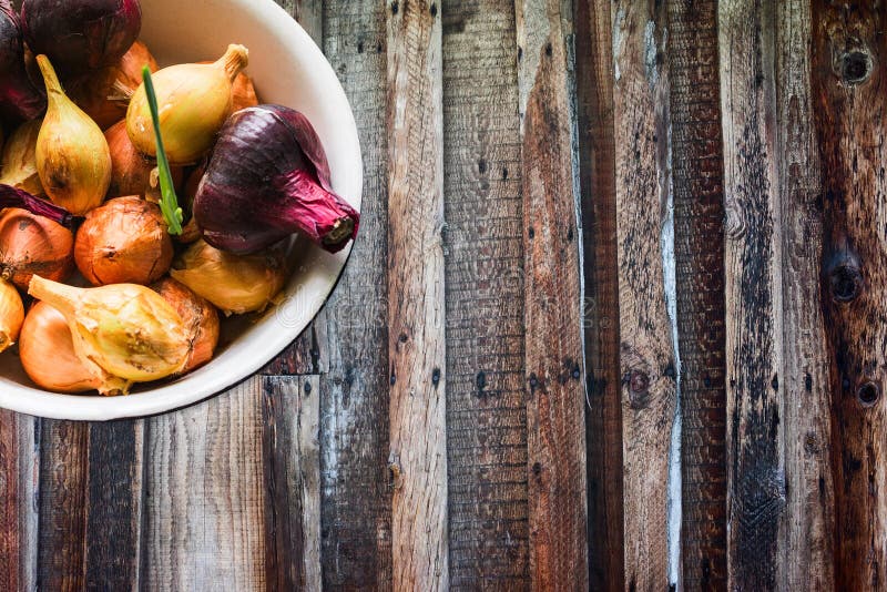 Bowl of Onions on a Wooden Table Stock Image - Image of ingredient ...