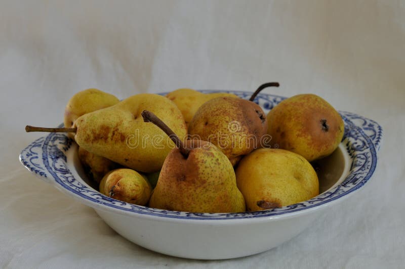 Bowl of Pears stock photo. Image of stem, life, fruit - 55661994