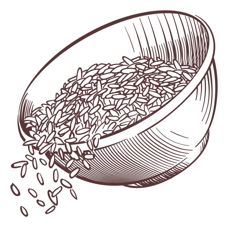 Bowl with Pouring Rice Sketch. Falling Grain Engraving Stock Vector ...