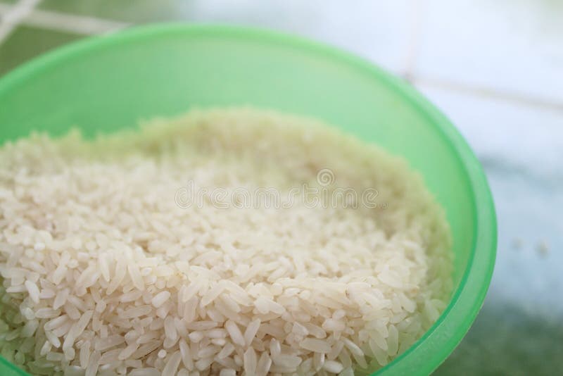 A bowl of pure white rice stock image. Image of curry - 231583977