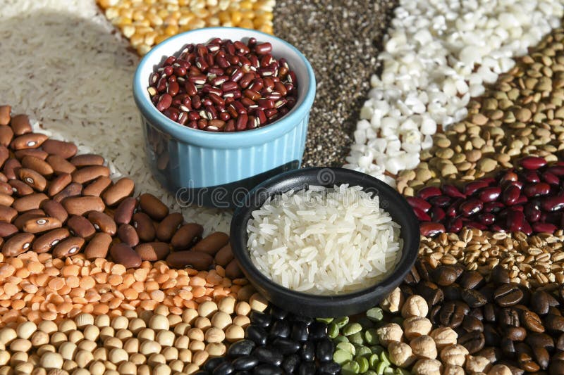 Bowl with Raw White Rices and Beans on Various Seeds Grain Stock Image - Image of collection ...