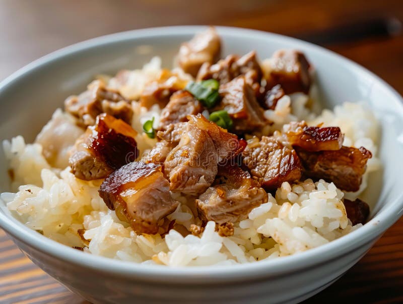 A Bowl of Rice with Meat and Onions Stock Image - Image of indoor ...