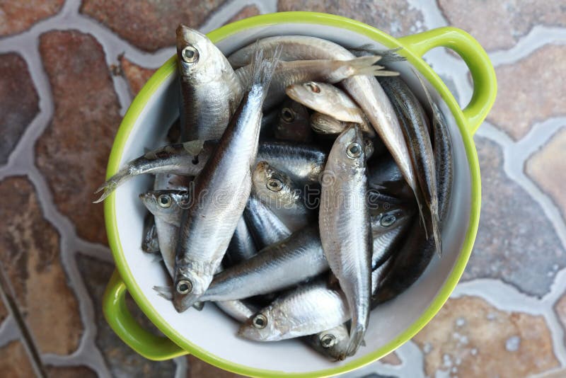 991 Hamsa Stock Photos - Free & Royalty-Free Stock Photos from Dreamstime