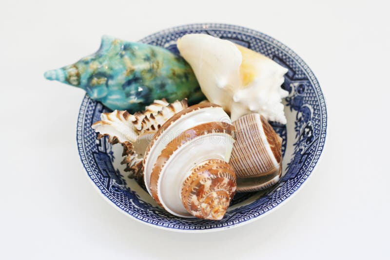 Bowl of shells. stock image. Image of beach, backdrop - 12480787