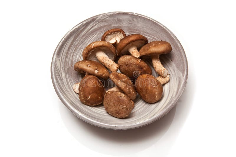 Shitake Mushrooms stock image. Image of remedy, medicine - 13904057