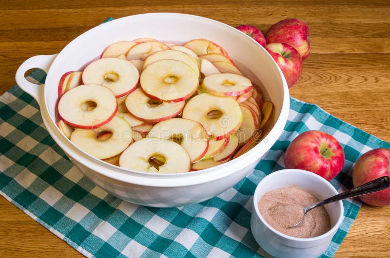 Bowl of Sliced Apple Rings with Cinnamon Stock Image - Image of apple ...