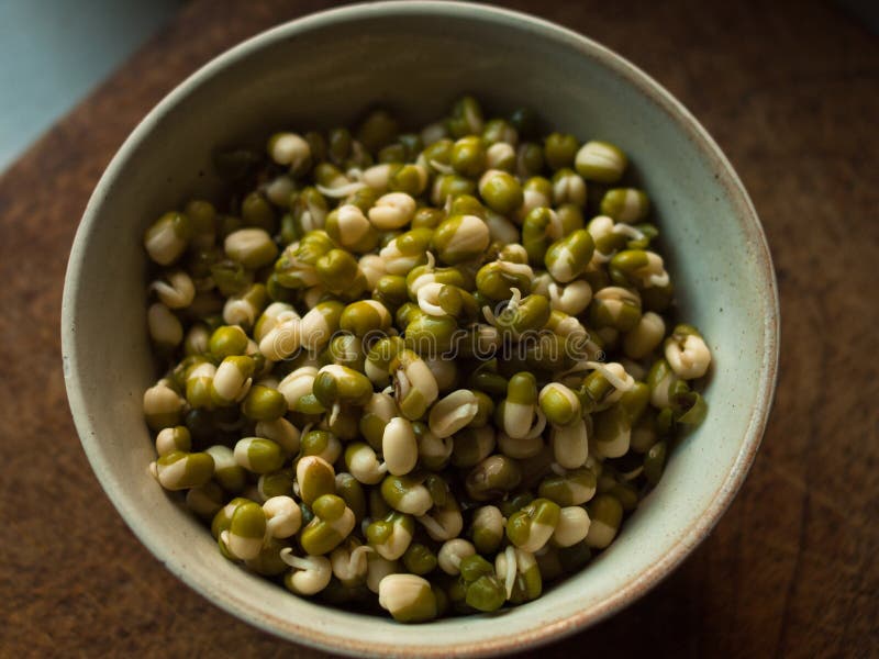 A Bowl of Sprouted Mung Beans on Wooden Table Stock Image - Image of ...
