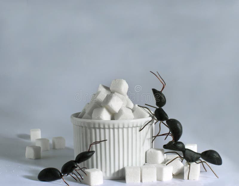 Bowl of sugar cube ant stock image. Image of bowl, black - 129798183