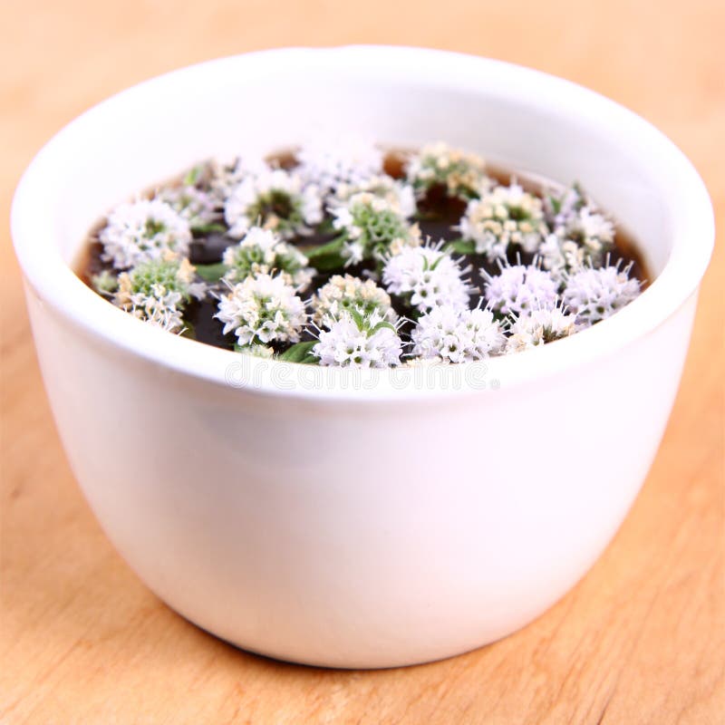 Bowl of tea stock image. Image of diet, relaxation, freshness - 10726291