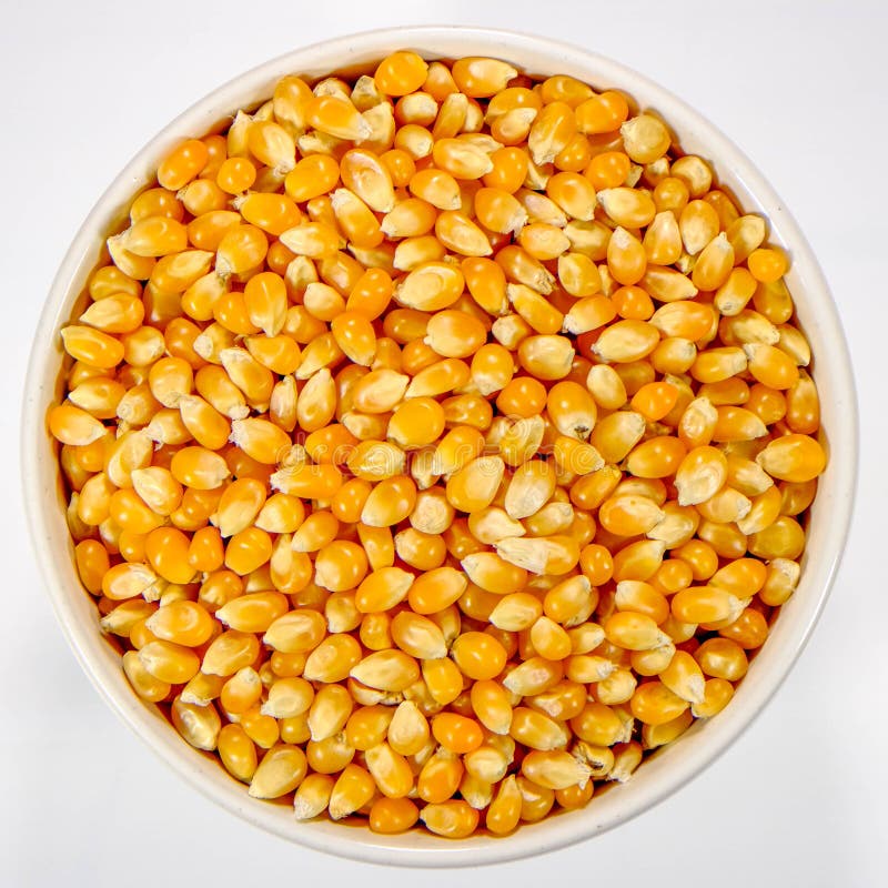 Bowl of Uncooked Popcorn Maize Stock Image - Image of flat, seeds ...