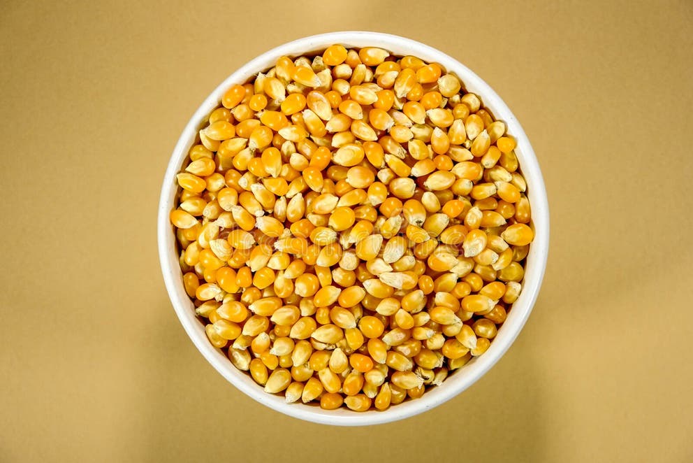 Bowl of Uncooked Popcorn Maize Stock Image - Image of drink, grain ...