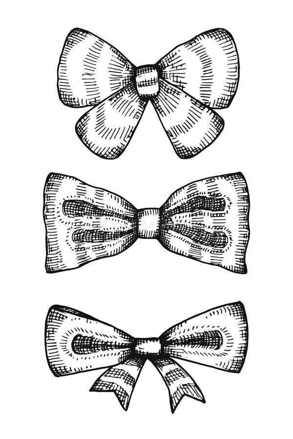 Bows Vector Illustration Hand Drawing Stock Vector - Illustration of ...