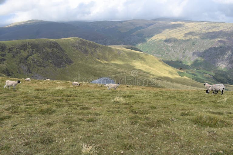 On Bowscale Fell with Tarn Down There Stock Image - Image of amlyd ...