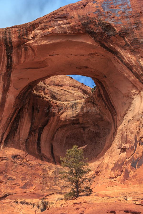 Bowtie Arch Landscape, Moab Utah Imagen de archivo - Imagen de ...
