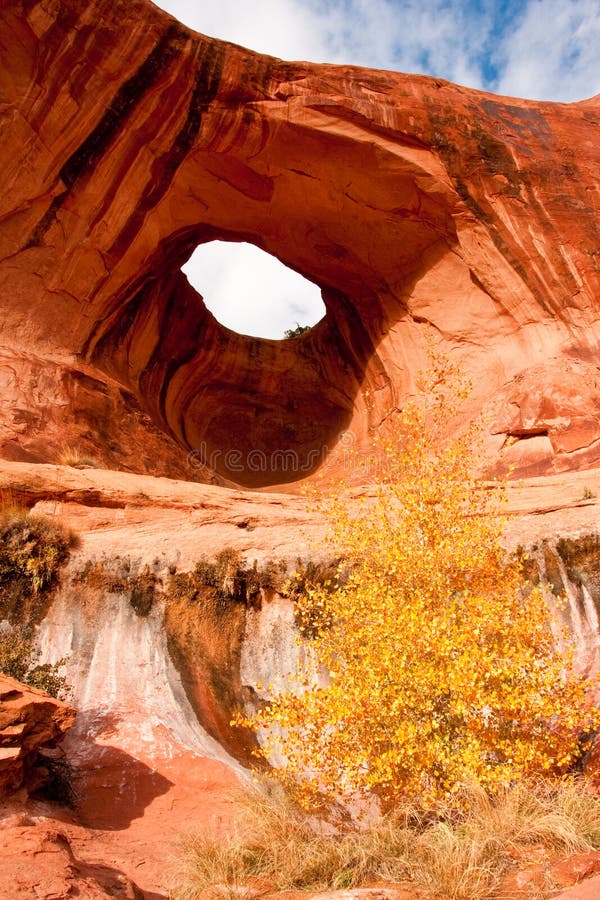 Bowtie Pothole Arch stock photo. Image of canyonlands - 17221312