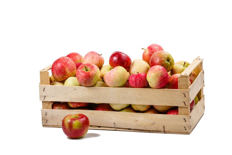 Box with apples stock image. Image of autumn, abundance - 27781649