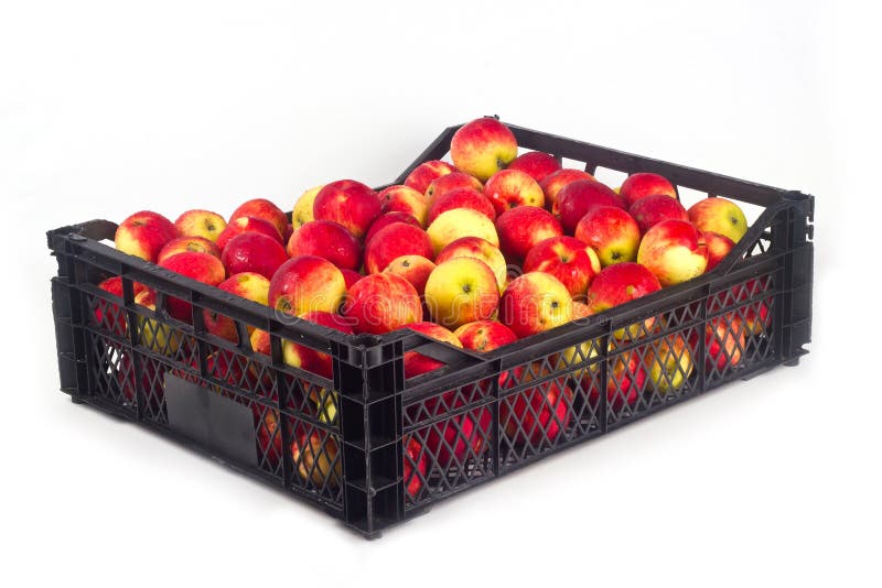 A box with apples stock image. Image of apples, plastic - 78874843
