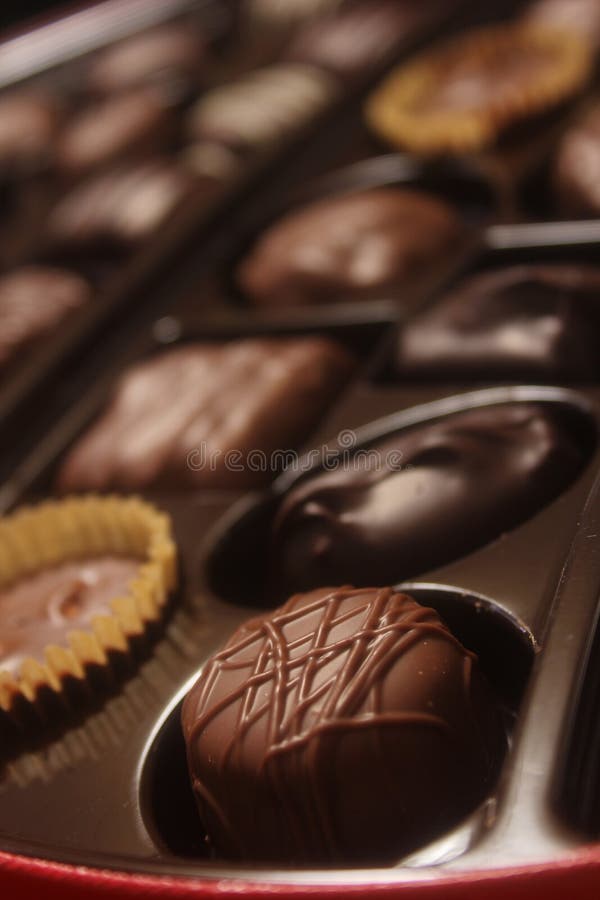 Assorted Chocolate Desserts with Cream and Nuts on a Dark Background ...
