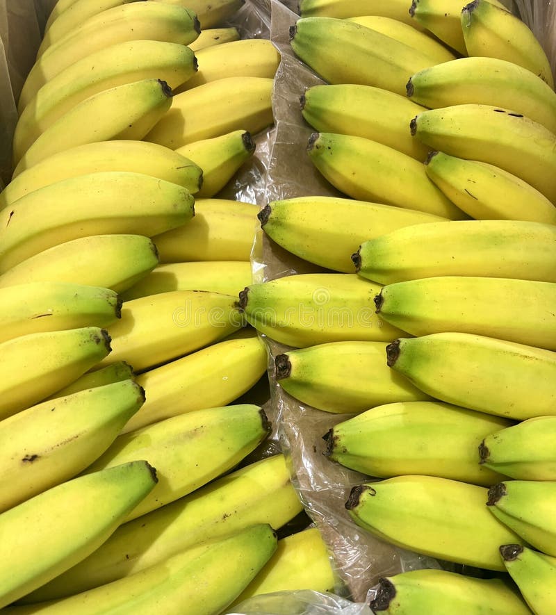 Bananas stock photo. Image of ripe, bunches, fruit, curved - 300162546