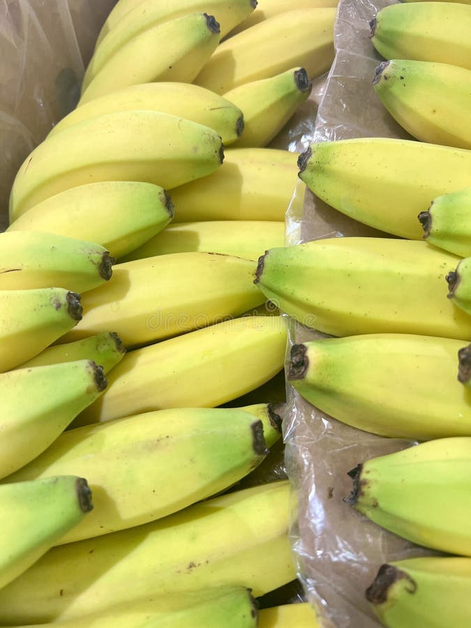 Bananas stock photo. Image of bunch, bunches, grown - 300162692