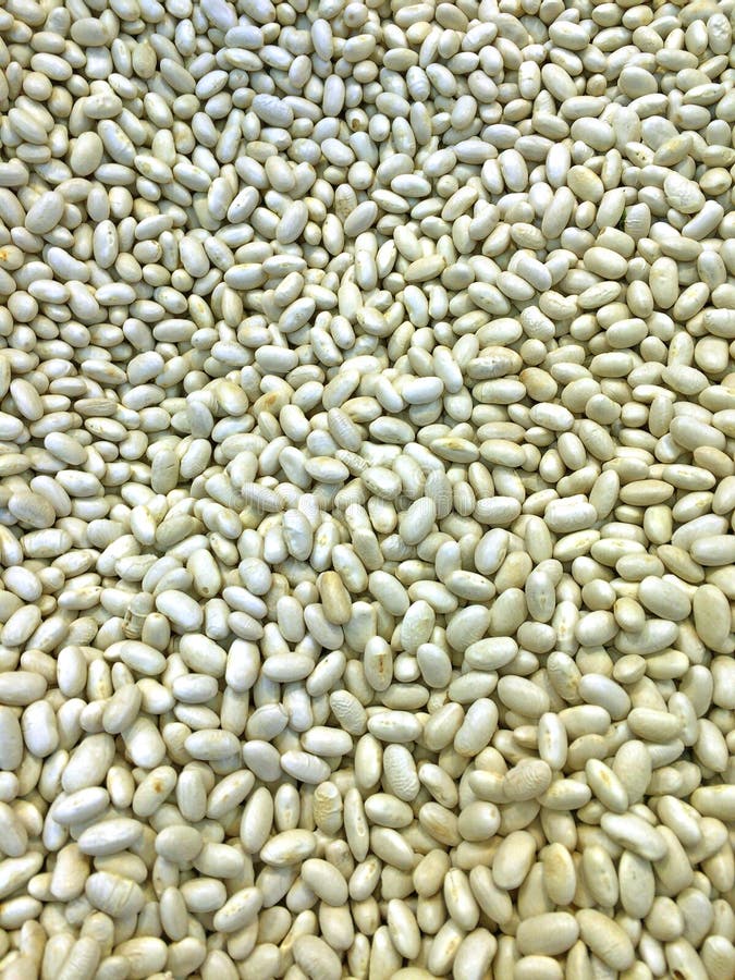 A box of beans stock photo. Image of shop, healthy, freshness - 79351164