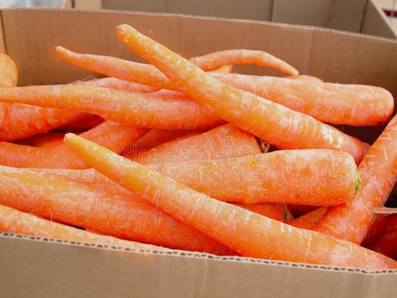 Box of Carrots stock photo. Image of produce, agriculture - 37689446