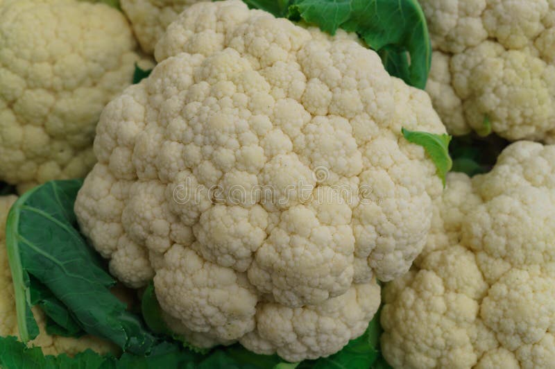 A Box of Cauliflower Sold on the Market Stock Photo - Image of group ...
