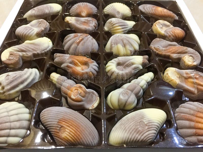 Box of chocolate praline stock photo. Image of praline - 270057070