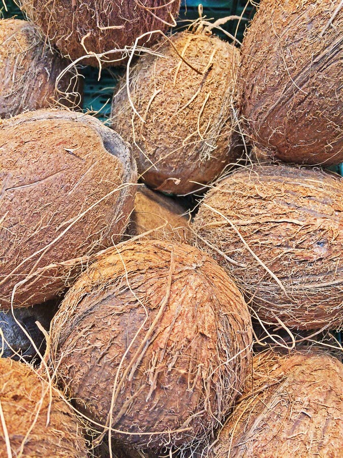 A box of coconuts stock image. Image of fruit, nutrition - 79351027