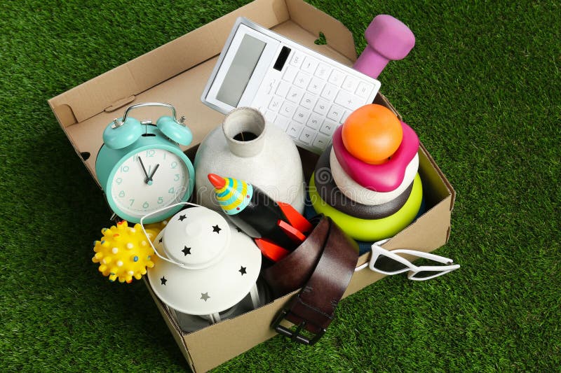 Box with Different Stuff on Green Grass. Garage Sale Stock Photo ...