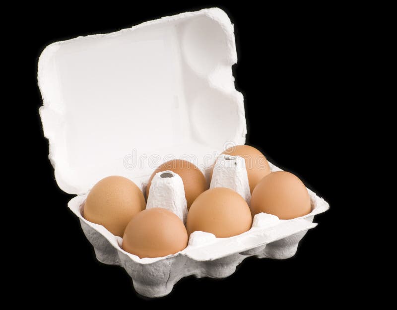 A box of eggs stock photo. Image of groceries, protection - 12805228