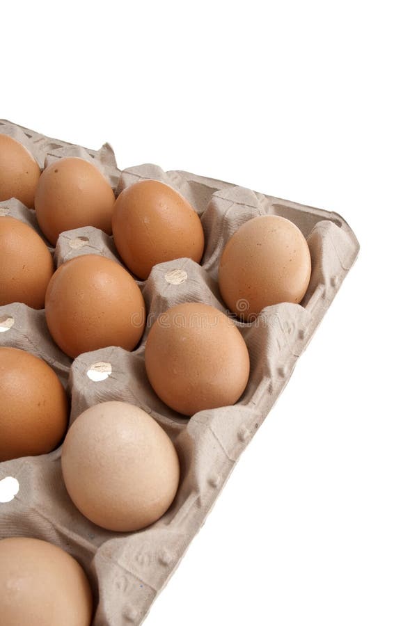 Box of eggs stock photo. Image of protection, packaging - 16300294