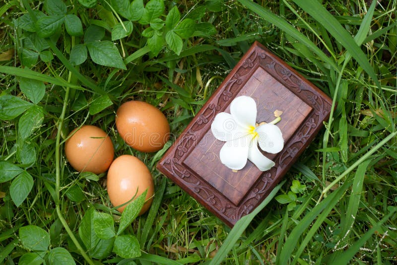 Box and Eggs Close Up on Grass, Secret Box Concept Stock Image - Image ...
