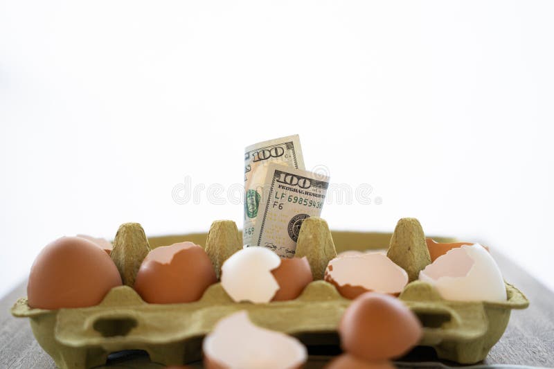 Box with Eggshells and a 100 Dollar Bill Stock Image - Image of dairy ...