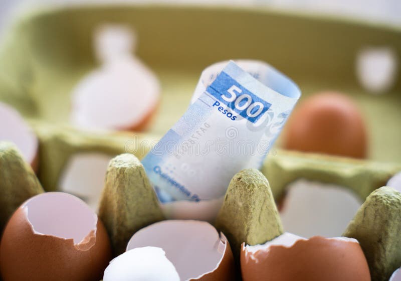 Box with Eggshells and a 500 Peso Bill Stock Photo - Image of economy ...