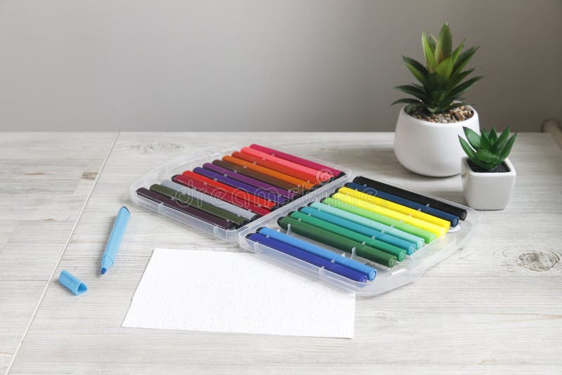 Box with Felt-tip Pens, Two Plastic Pots with Artificial Succulents are ...