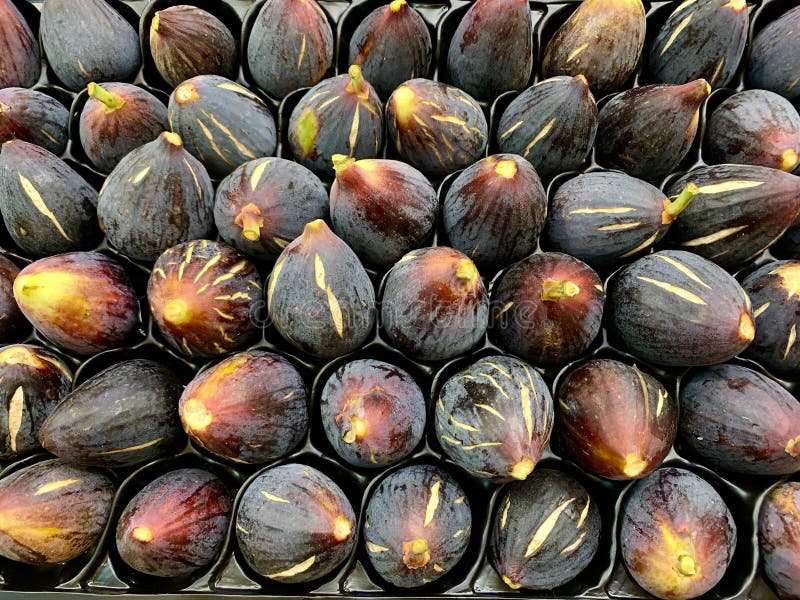 Box of Figs Ready To Be Sold Stock Image - Image of flower, leaf: 241339701