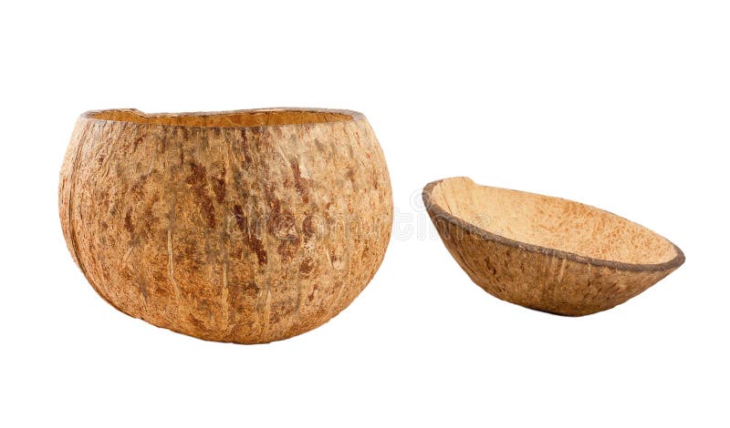 Box in the form of coconut stock photo. Image of fruit - 25612266