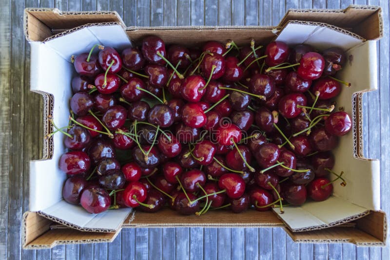 Box with fresh cherries stock image. Image of dessert - 149575579