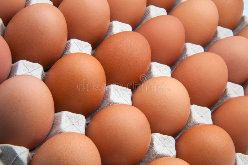 Box fresh chicken stock image. Image of healthy, food - 33511191