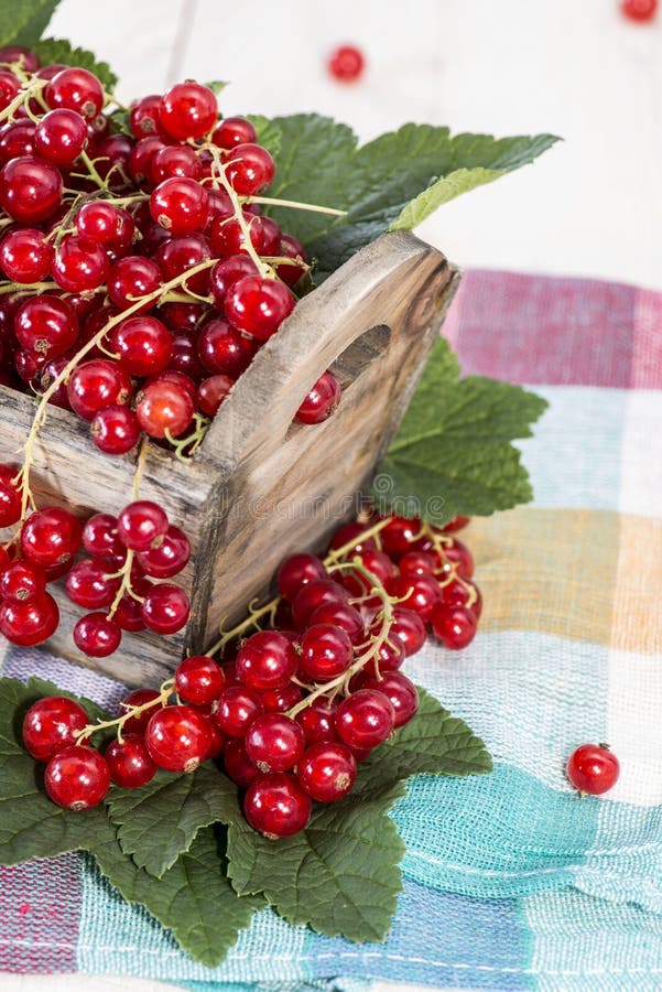 Box with fresh Currants stock image. Image of harvested - 33019023
